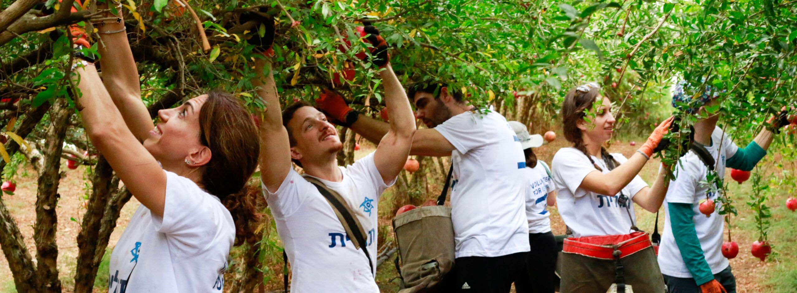 Volunteer in Israel - Free Israel Trip! Birthright Israel: Israel Free ...